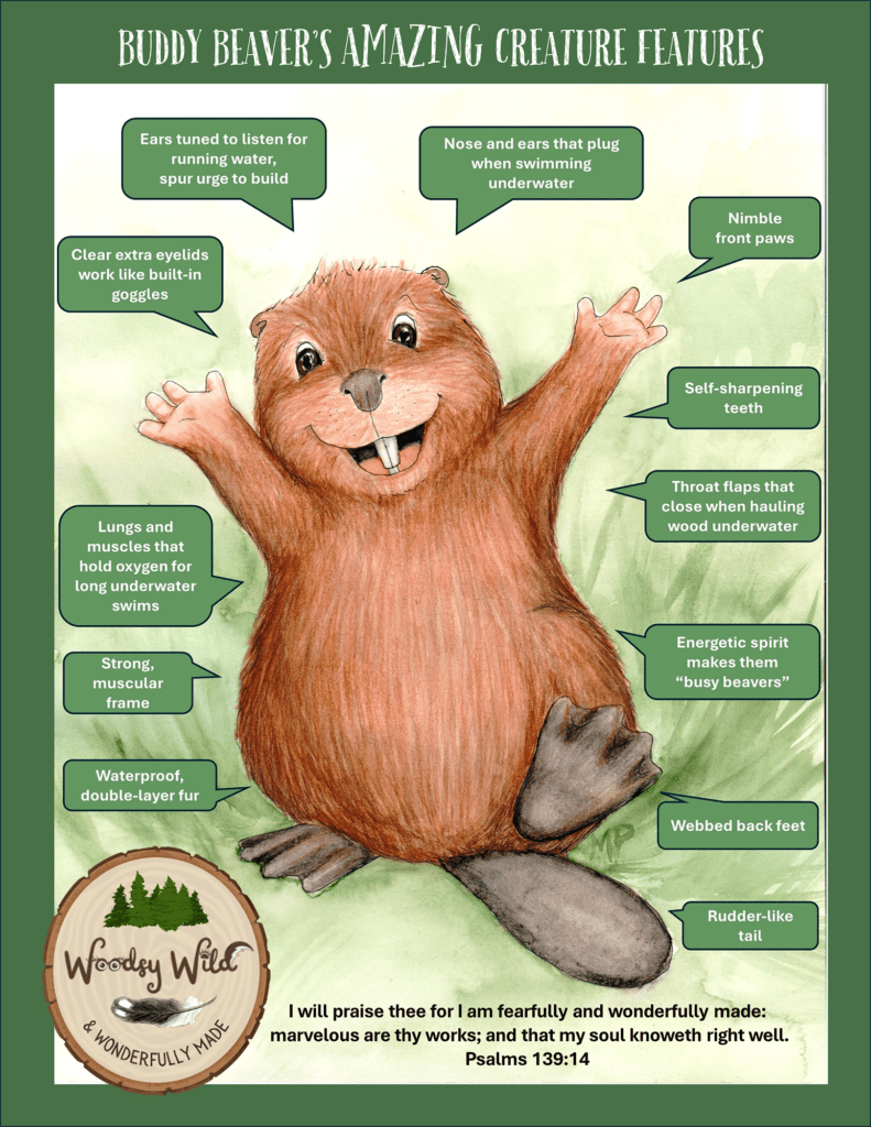 Books - Woodsy Wild/